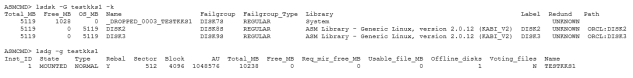Oracle ASM. What a Disk Group will look like with different disk ...